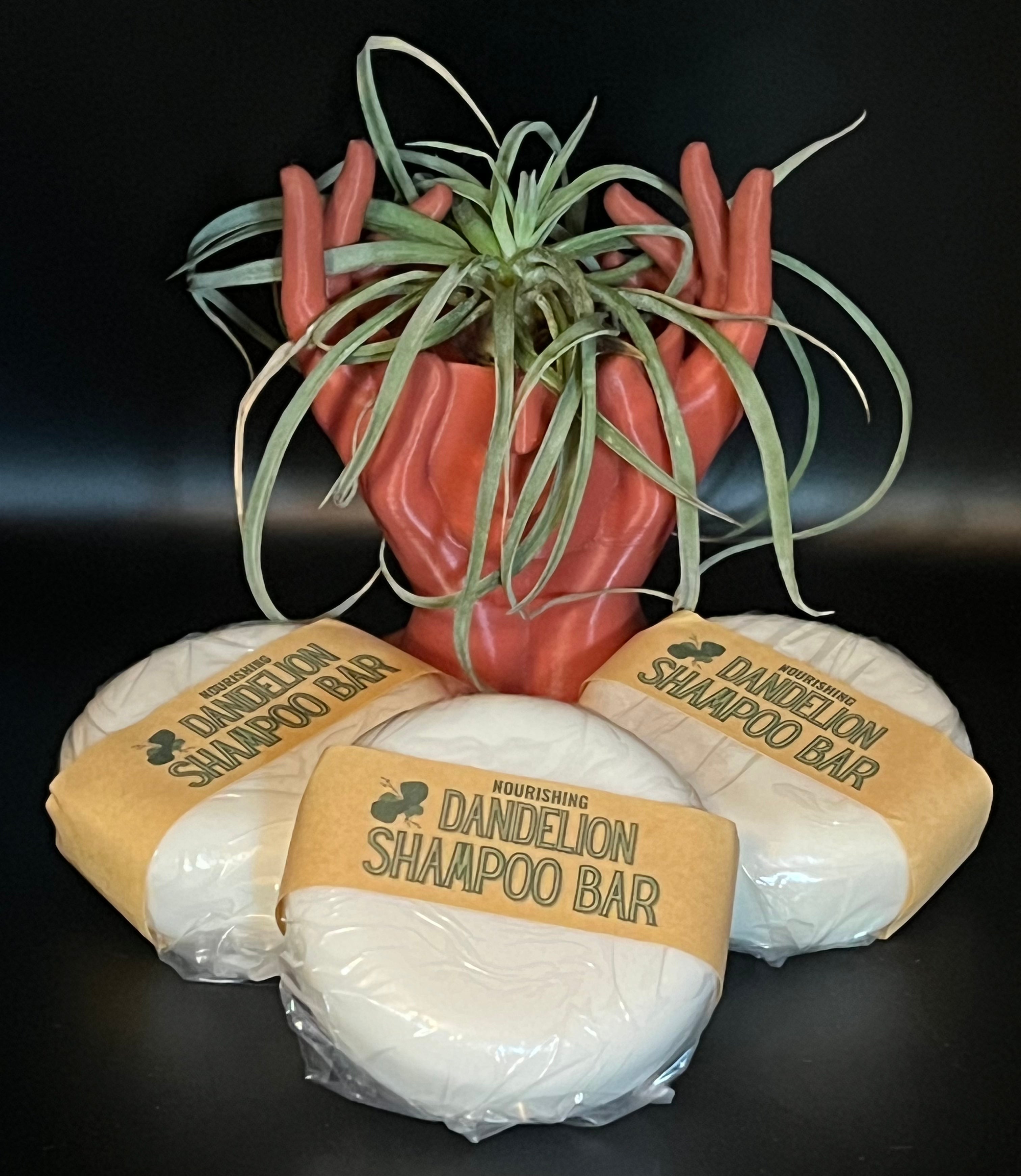 DANDELION SHAMPOO BAR – atlasandcompany18